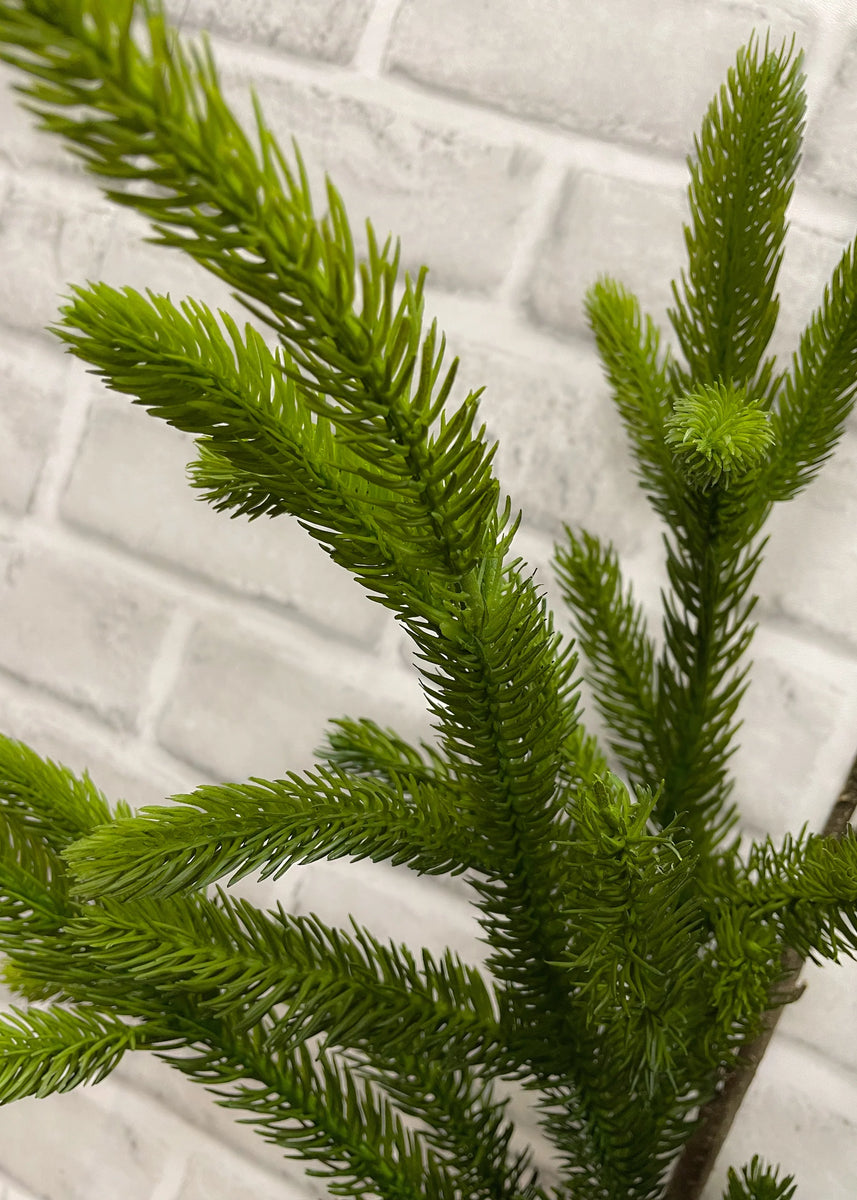 Spruce Branch Fresh Touch 37" – Not Just For The Garden