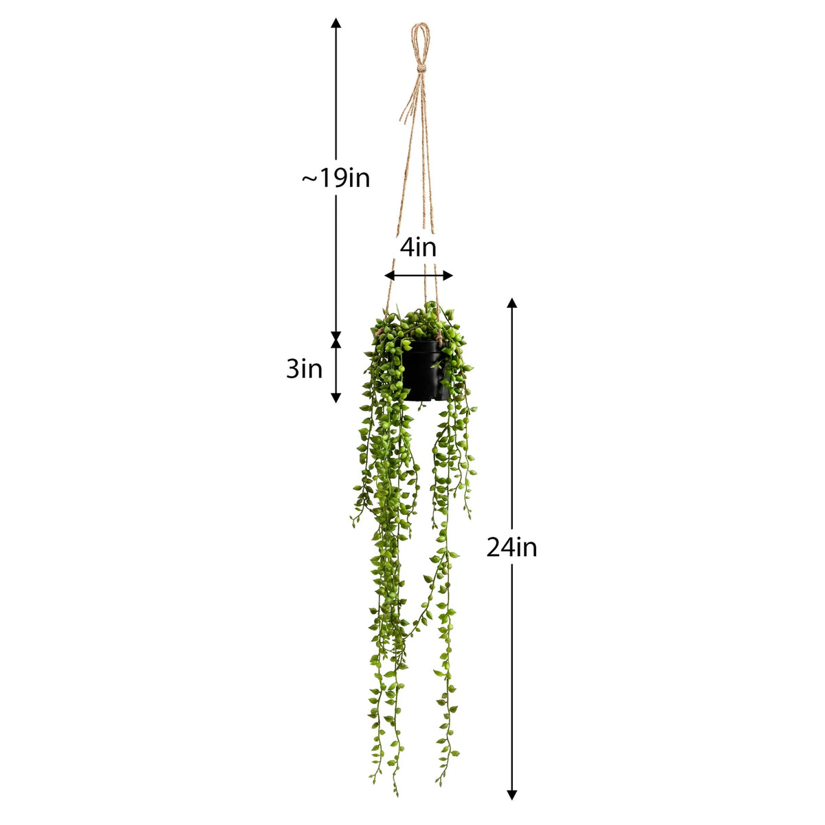 String Of Pearls Succulent Hanging Faux Potted Plant with String Hange ...